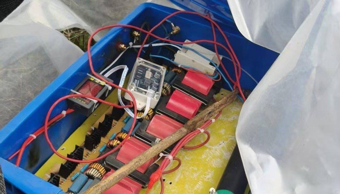 祭祖被捕猎网电死